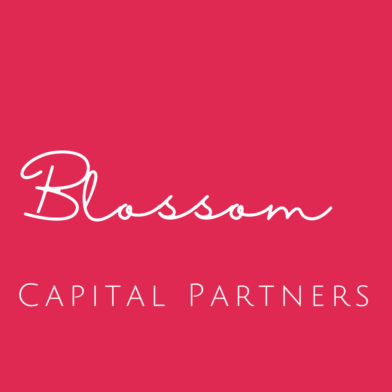 Blossom Capital Partners | Aussie Angels